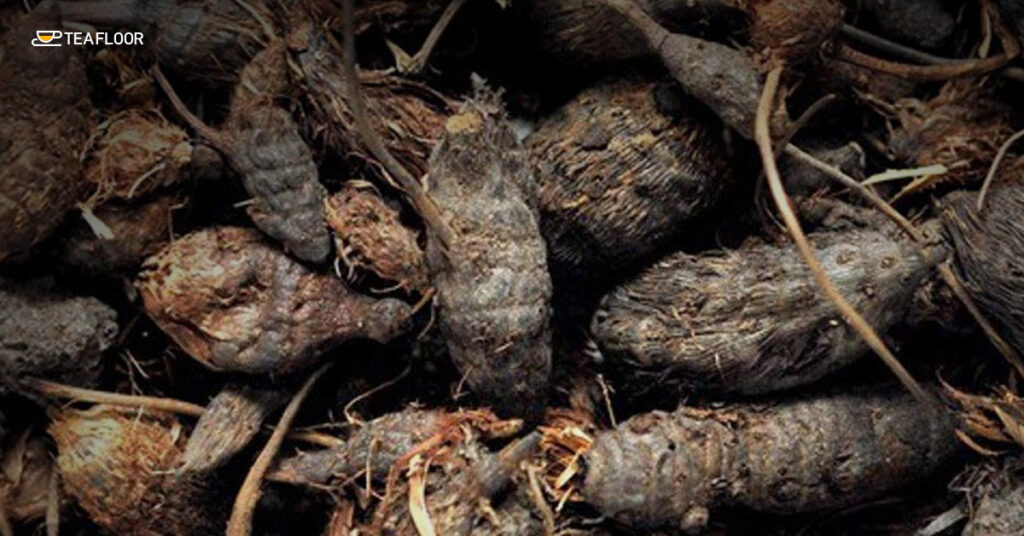 Top 30 Ayurvedic Herbs and their Uses