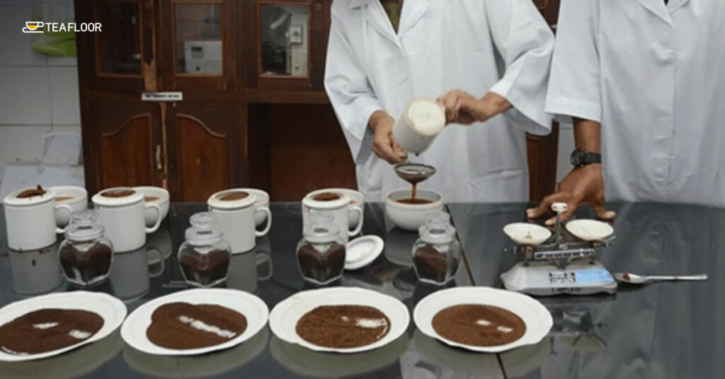 Choosing the Right Tea Partner: Why Budwhite Teas Stands Out